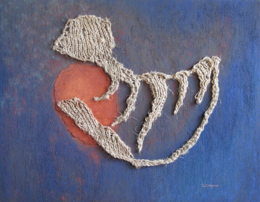 A Robin’s Heart - Shelley Snodgrass